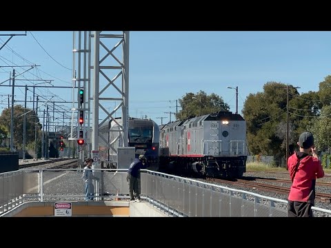 *MUST SEE* Amtrak Capitol Corridor #738 races trio of Caltrain F40PH-2C’s at Santa Clara Station 