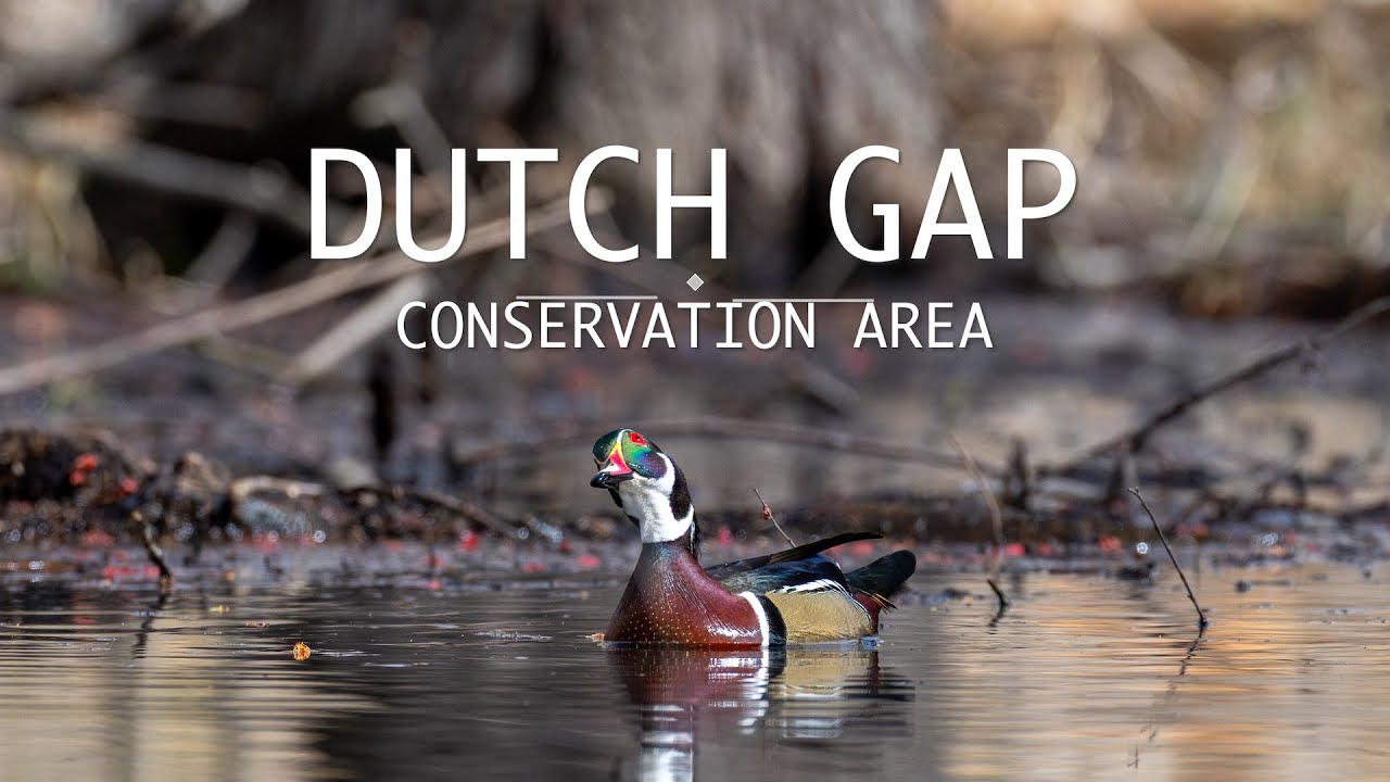 Dutch Gap Conservation Area | Fall Winter Spring - YouTube