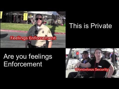 First Amendment Auditor Meets Obnoxious Security Guard And Feelings ...