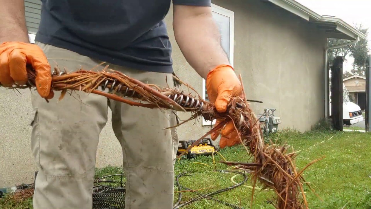 Best Sewer and Drain Sectional cable being used to remove roots. - YouTube