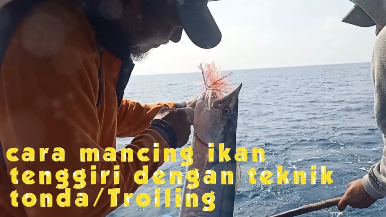 Cara mancing ikan tenggiri dengan teknik tonda/ Trolling di Pulau ...