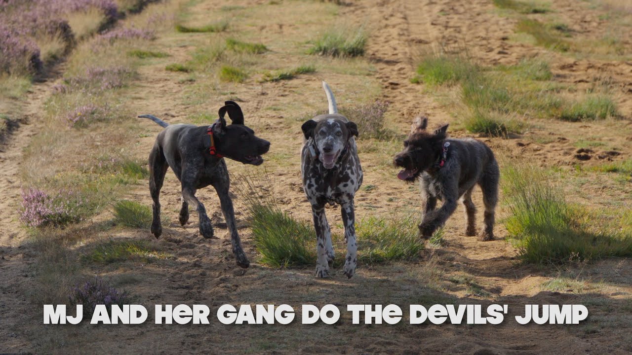 More adventures for MJ as we climb the Devils' Jump - YouTube