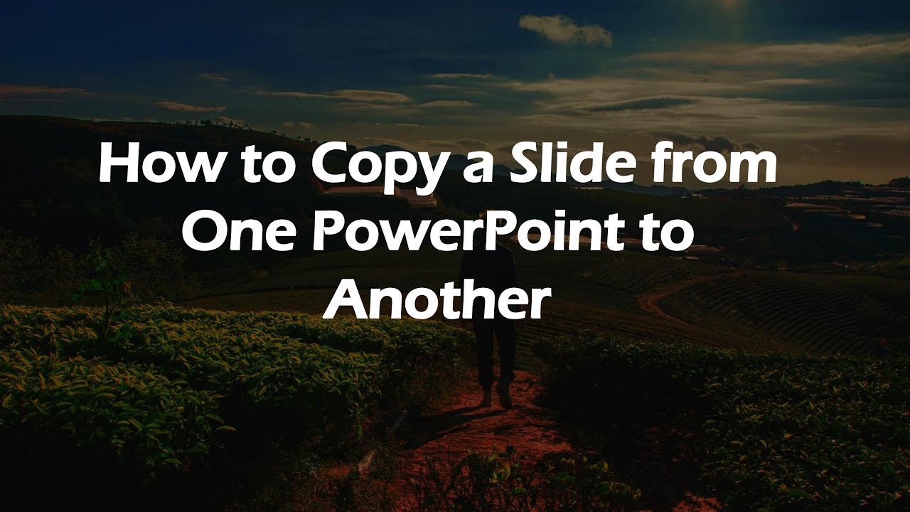 How to Copy a Slide from One PowerPoint to Another - YouTube