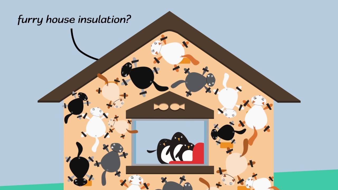 The nature of insulation - YouTube
