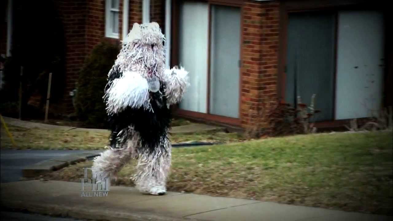 Tuesday 03/25: Animal Obsessed - Show Promo - YouTube