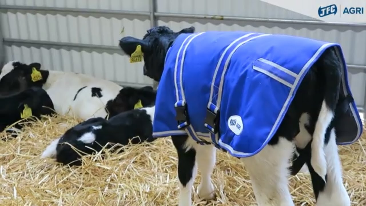 Calf Jackets - JFC Agri - YouTube