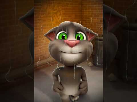 Talking tom || angry cat || cartoon video - YouTube