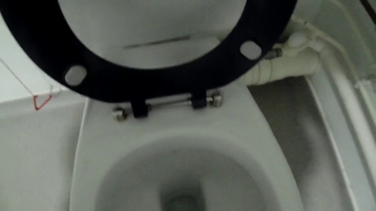 2010 Twyford Avalon toilet at Port Talbot Resorce Centre disabled ...