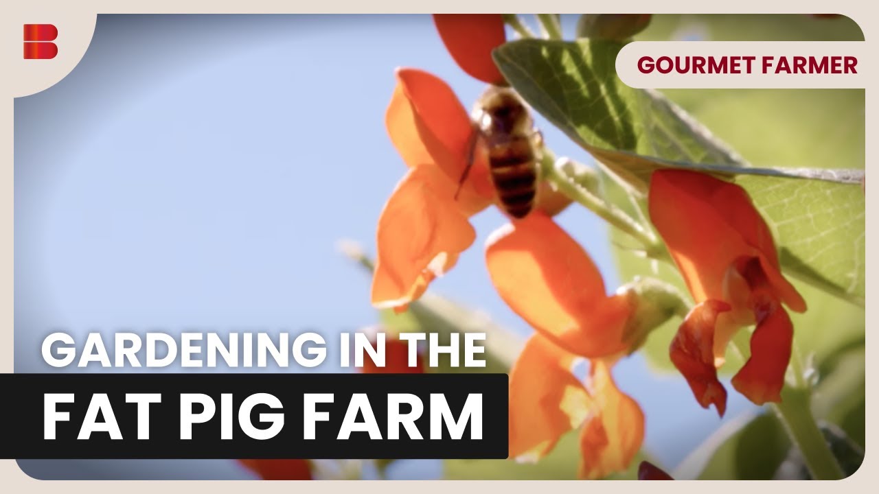 Fat Pig Farm Gardening - Gourmet Farmer - Food Documentary - YouTube