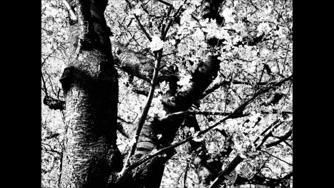Portrait of Setsuko Chiba 千葉節子 'Travel with Tagore' by Kiyoshi Ikejiri ...
