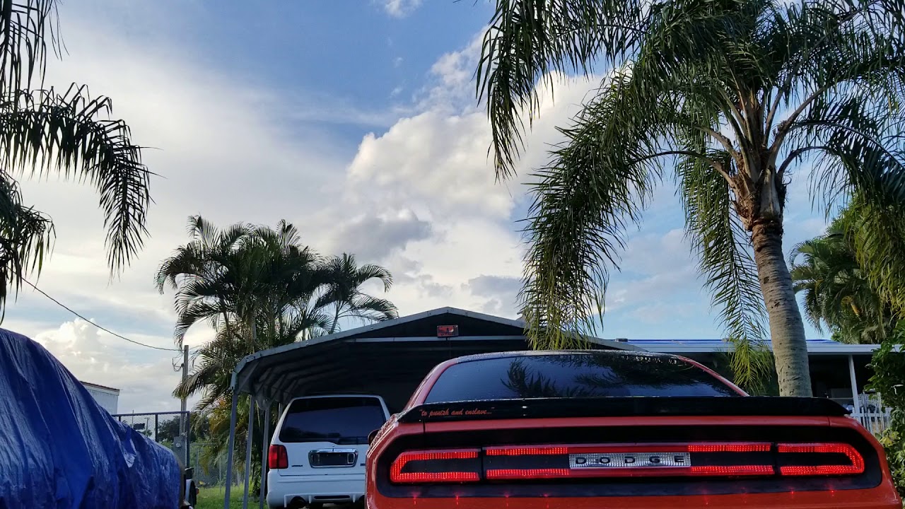 HEMIFEVER TUNE COLD START - YouTube