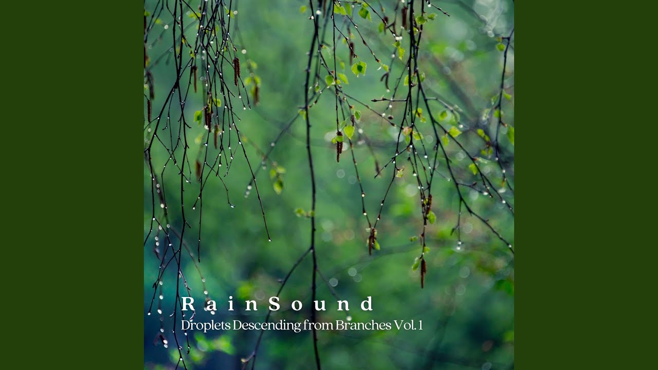 Rain All Night for Better Sleep - YouTube