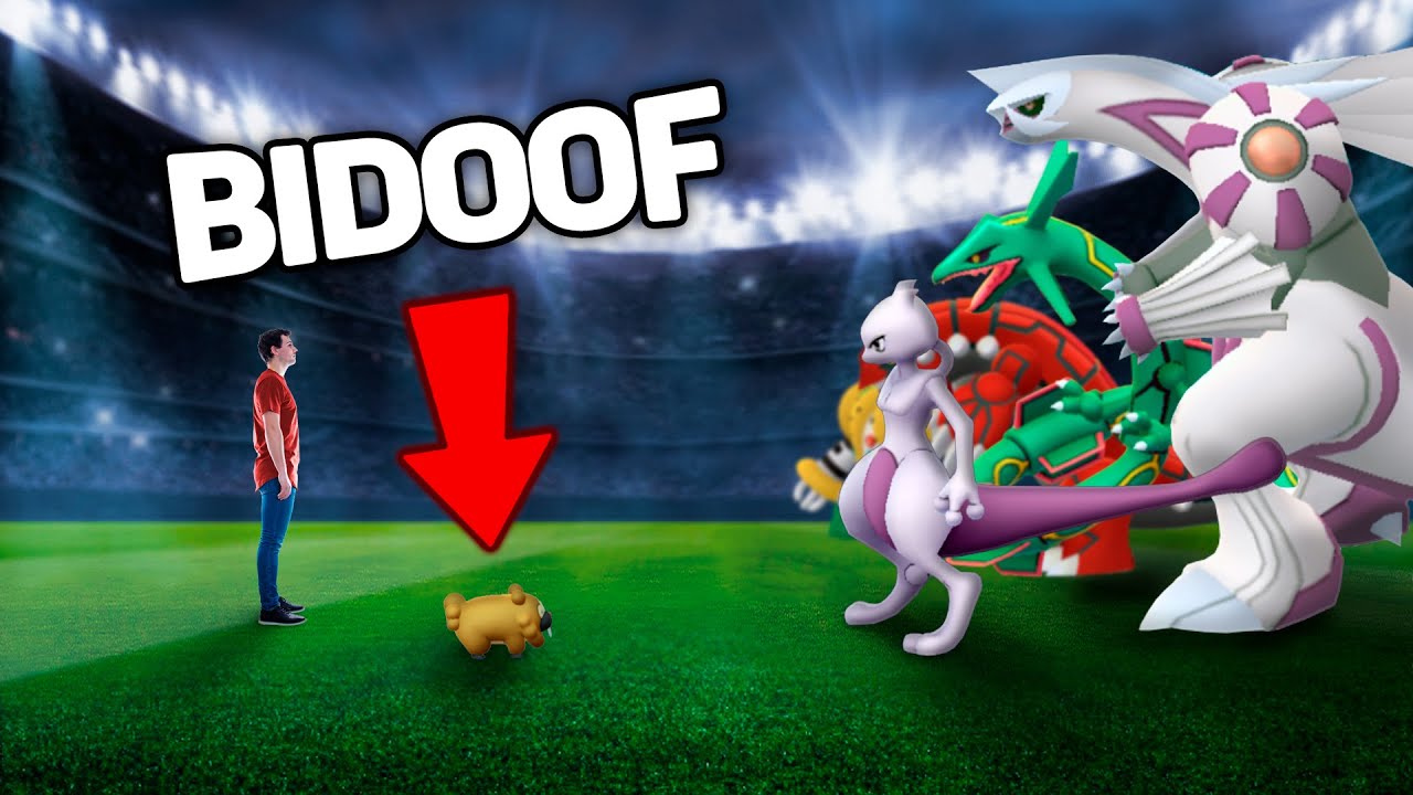 I brought BIDOOF to an Official Pokémon Tournament - YouTube