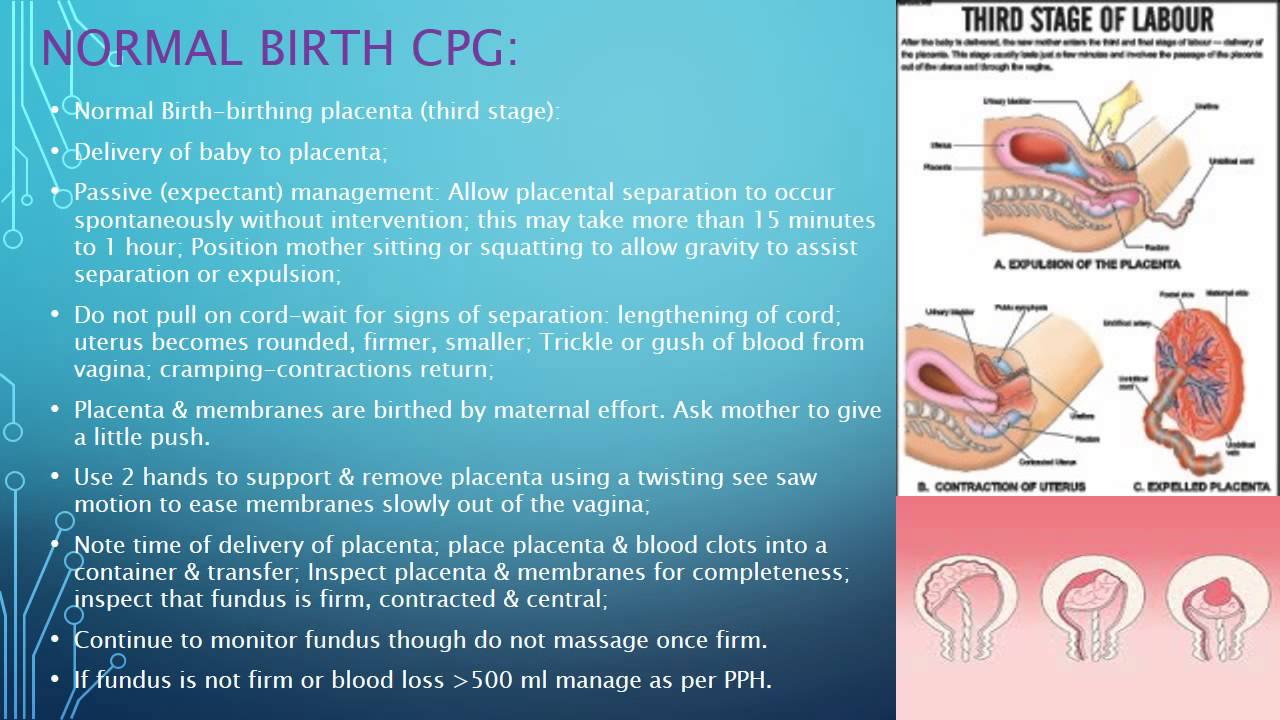 Obstetric Emergencies - YouTube