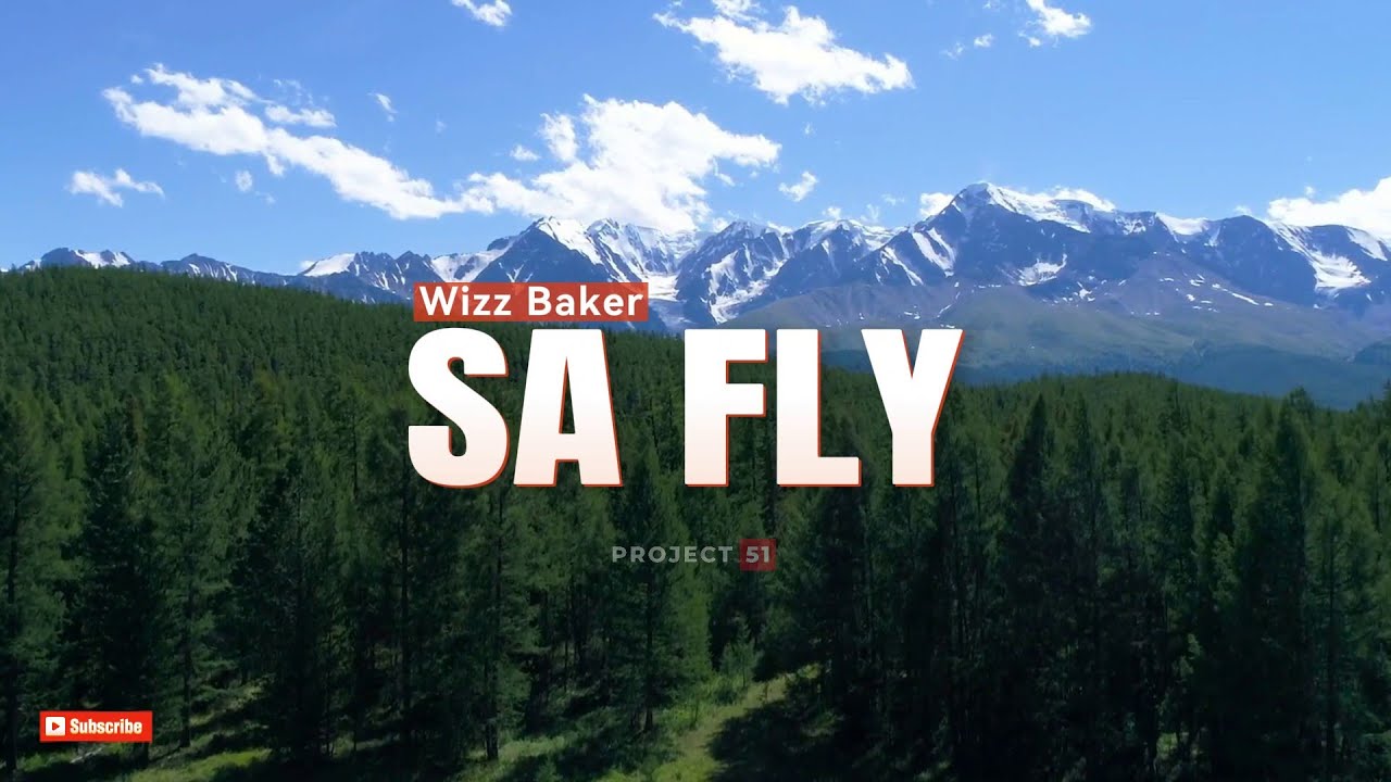SA FLY - Lirik Video | Wizz Baker - YouTube