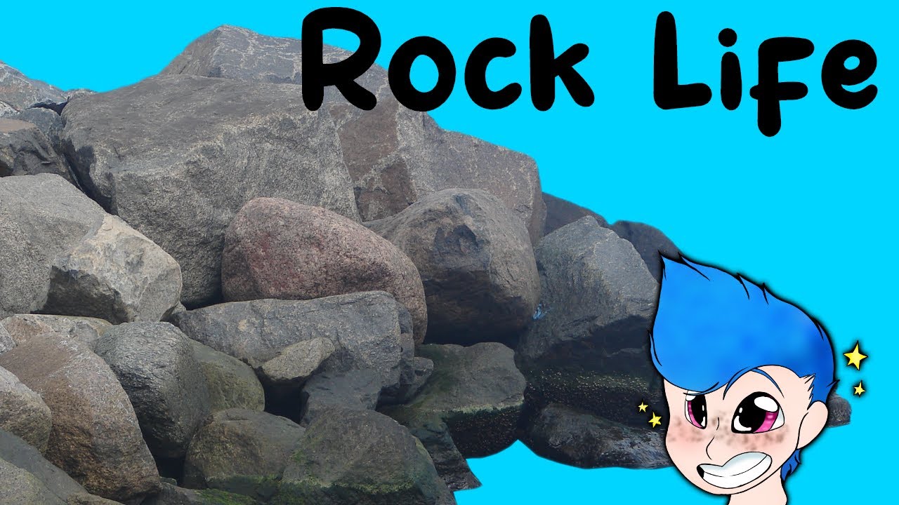 Thrilling Gameplay | Rock Life - YouTube