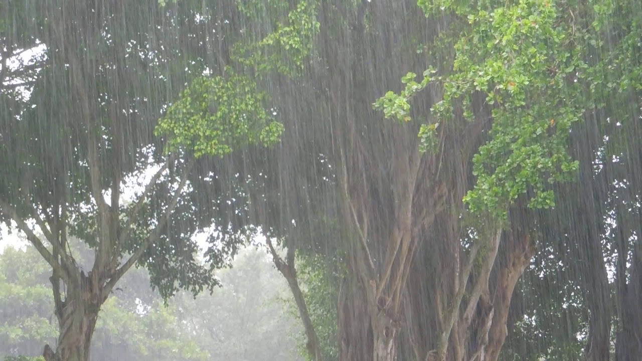 Memorial Day Rain - Boca Raton, FL Rain - May 25, 2020 - YouTube