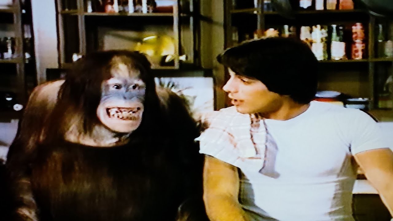 GOING APE Movie Review (1981) Schlockmeisters #516 - YouTube