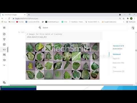 Plant Disease Classification using Neural Networks| Hema Duvvuru |Machine Learning ...