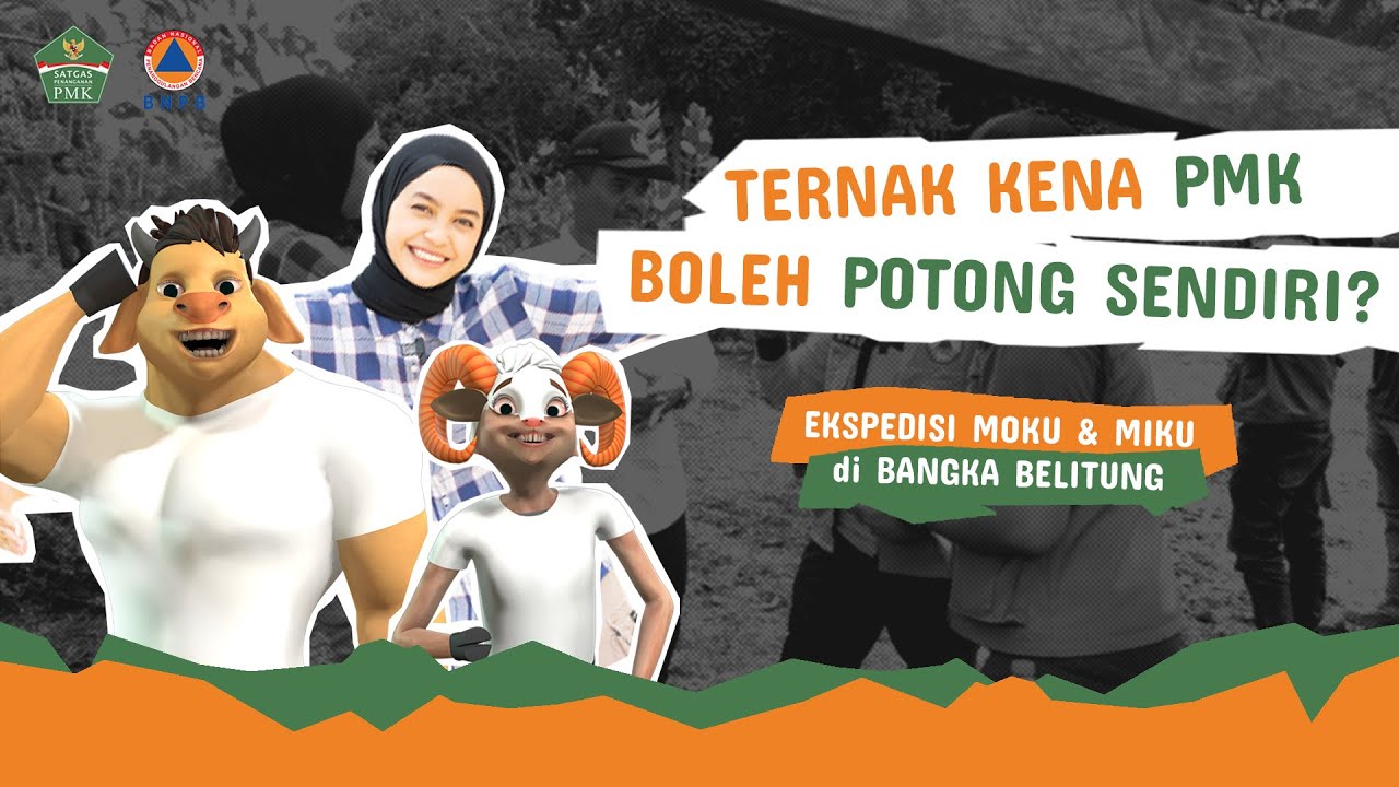Ternak Kena PMK Boleh Potong Sendiri? - YouTube