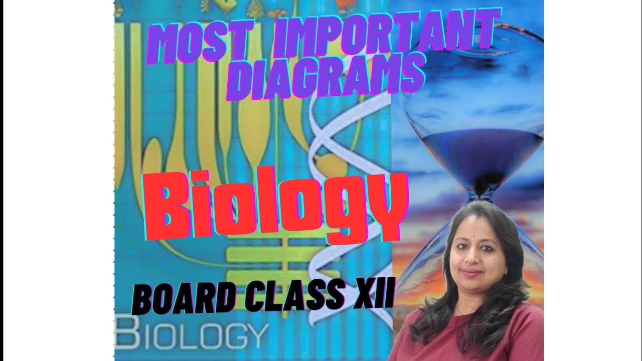 Important Diagram For Class 12th Biology😱😱🔥🔥#viral #12boardexam # ...