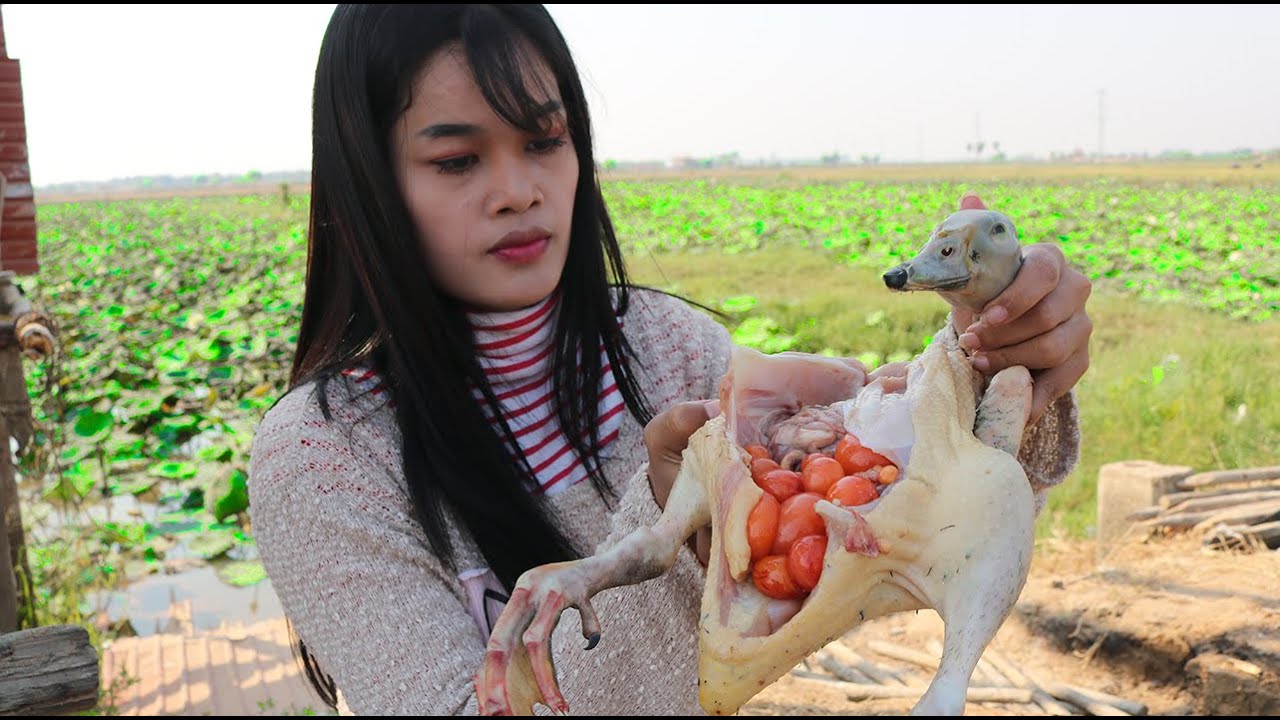 Yummy Cooking Duck With Weaver Ant Recipe - Cooking skill - YouTube