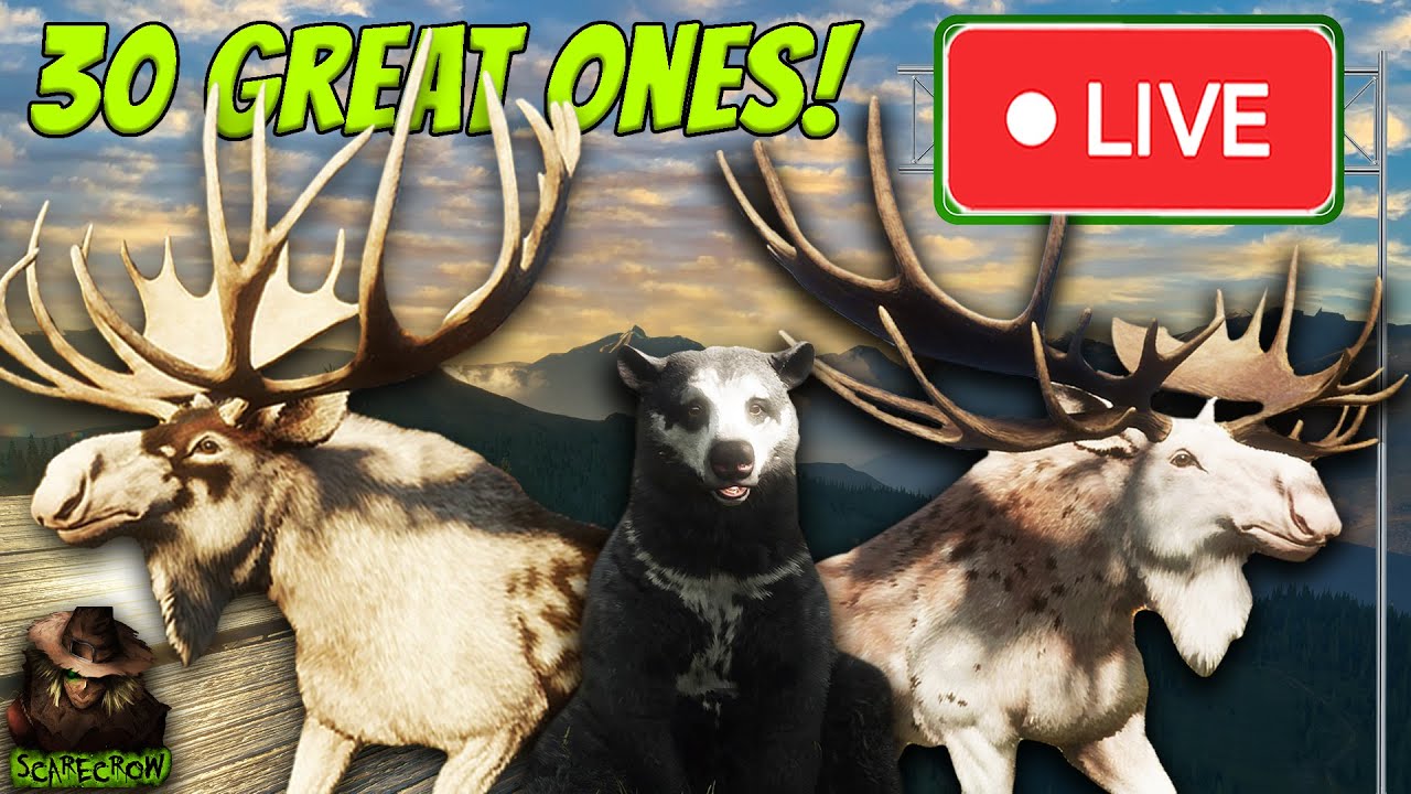 30 GREAT ONES | 2.2k 💎 | The Black Bear Great One Grind Returns! Moose ...