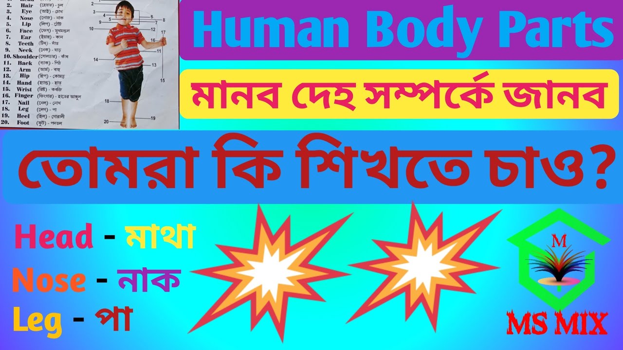 Human Body Parts Learn | Manab Sharirer Ansha - YouTube