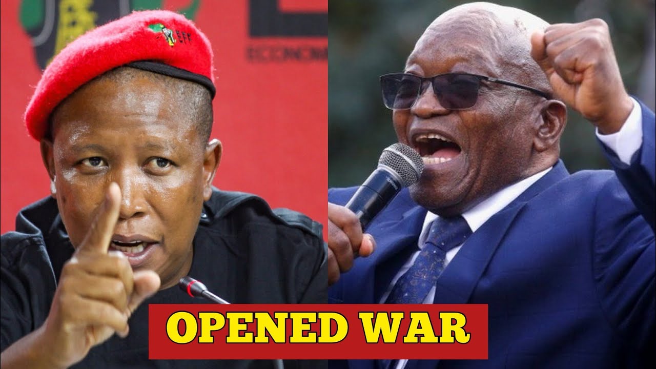 It's Open WAR Between The EFF And Jacob Zuma Aligned MK Party Members ...