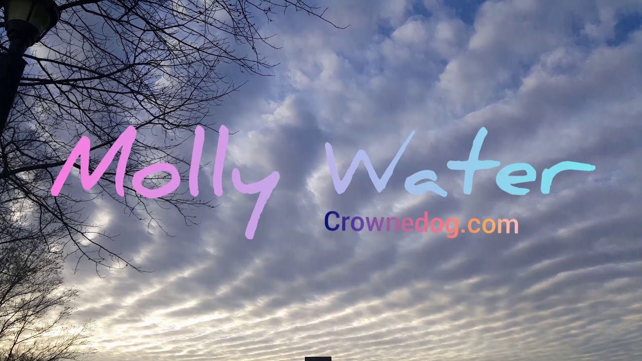 FREE FOR NONPROFIT || Molly Water - YouTube