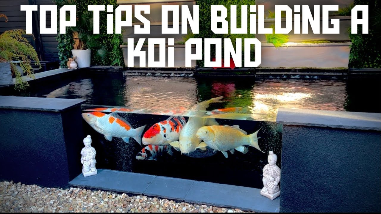 BUILDING A NEW KOI POND**TOP TIPS HOW TO BUILD IT** - YouTube