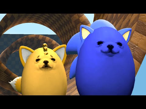 sonic the eggdog 2
