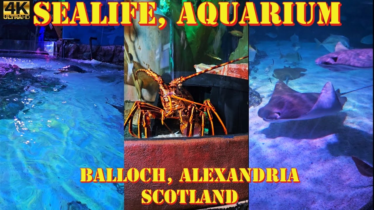 SEA LIFE Loch Lomond Aquarium Centre, Balloch, Alexandria, Scotland ...