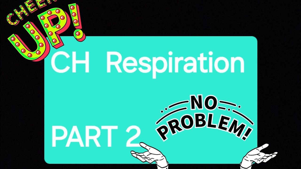 ch 7 part 2 explanation - YouTube