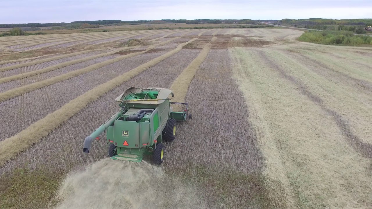 Combining Canola 2018 - YouTube