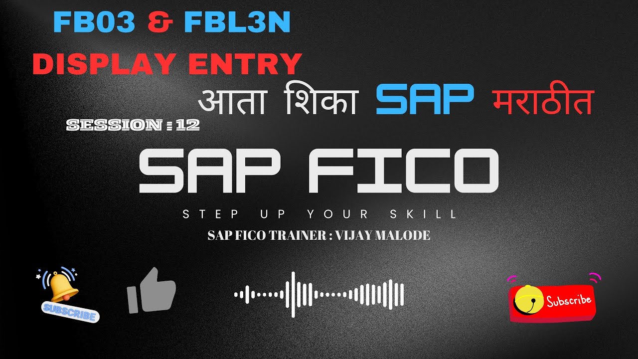 FB03 & FBL3N DISPLAY ENTRY in SAP Fico | step by step configuration ...