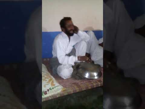 Ustad qazoom saraki dohry maza a gea mafil da