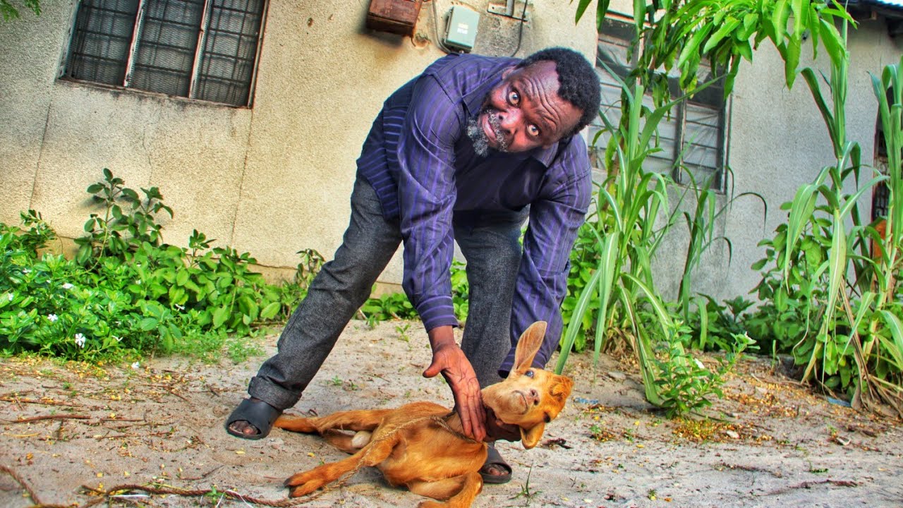 KINGWENDU AMCHINJIA MBUZI WA MAAJABU MKEWE UTACHEKA SANA HII - YouTube