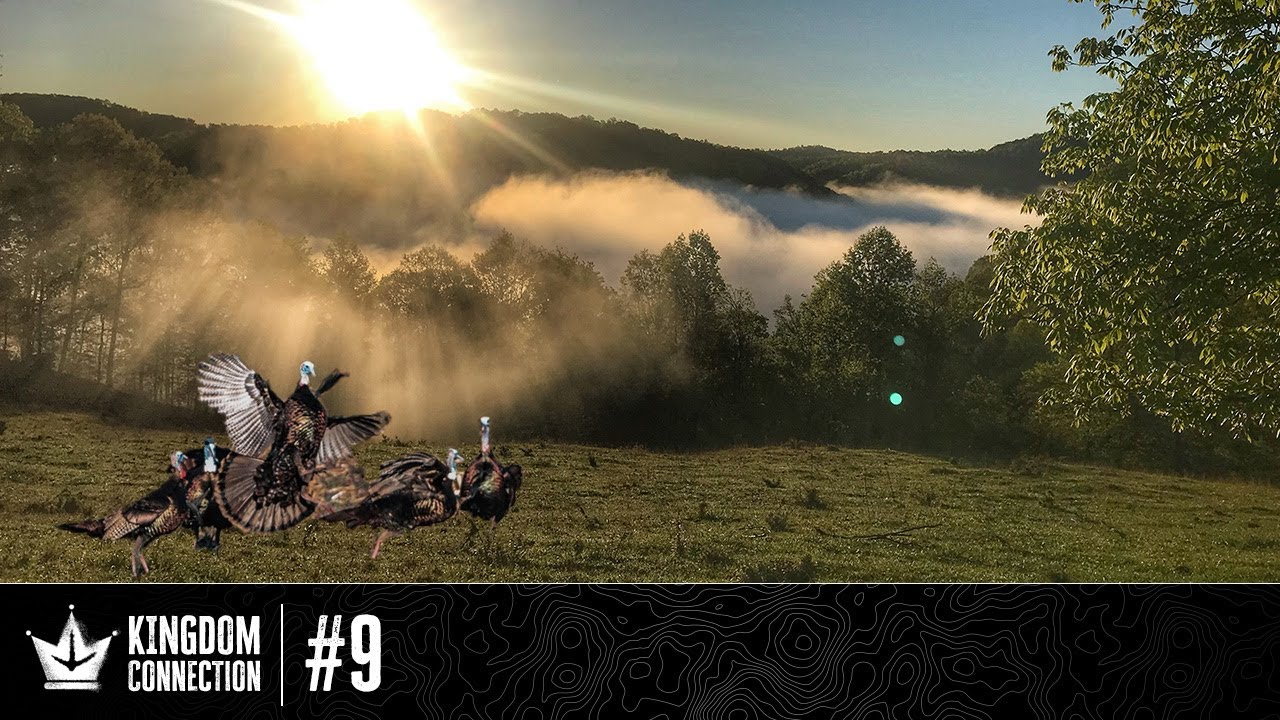 TURKEY FIGHT up CLOSE / CALLING a GOBBLER THROUGH the FOG / DEALING ...