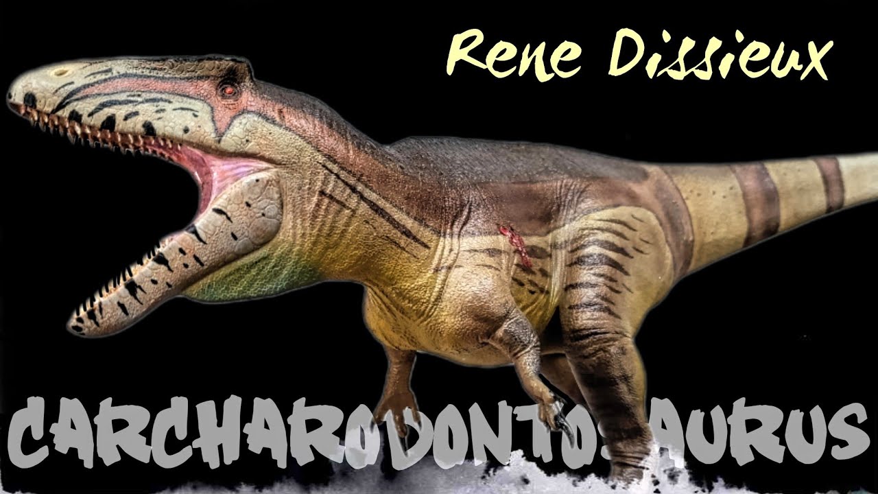 SAURIA MODELS Carcharodontosaurus Review!!! - YouTube