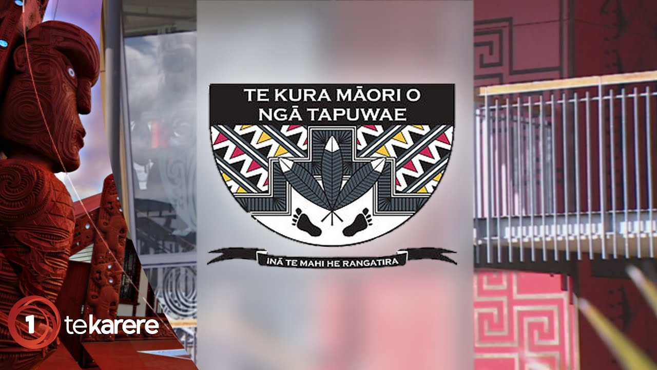 Te Kura Māori o Ngā Tapuwae claims NZ’s highest NCEA pass rate - YouTube