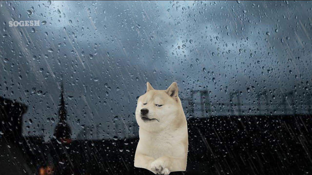 Cheems sad status ️‍🩹 || @sogesh91 || Cheems sad video - YouTube