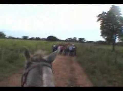 Juan Bosco Ciudad Ojeda CARTA NECESARIA - YouTube