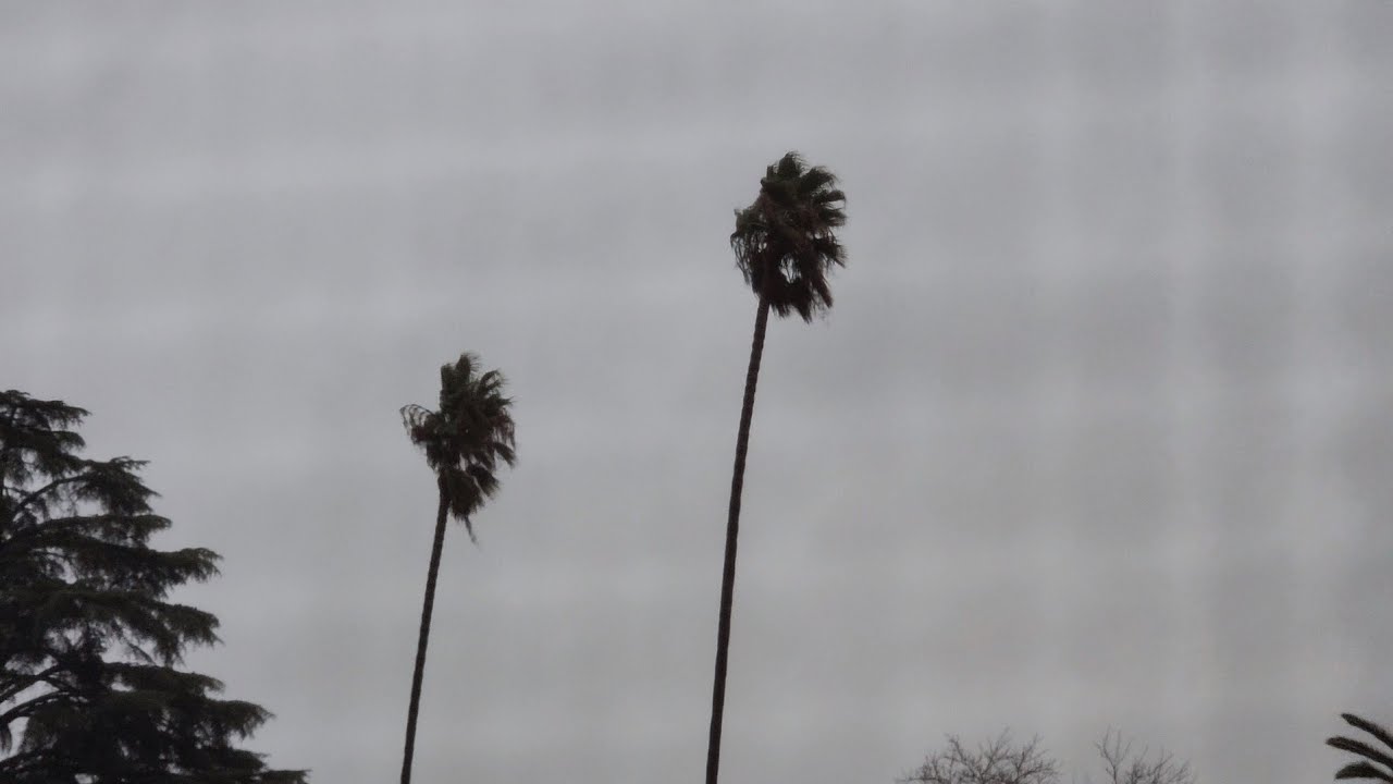 Breezy NW To WNW Winds Occationally Windy and Rain 4:30pm December 31 ...