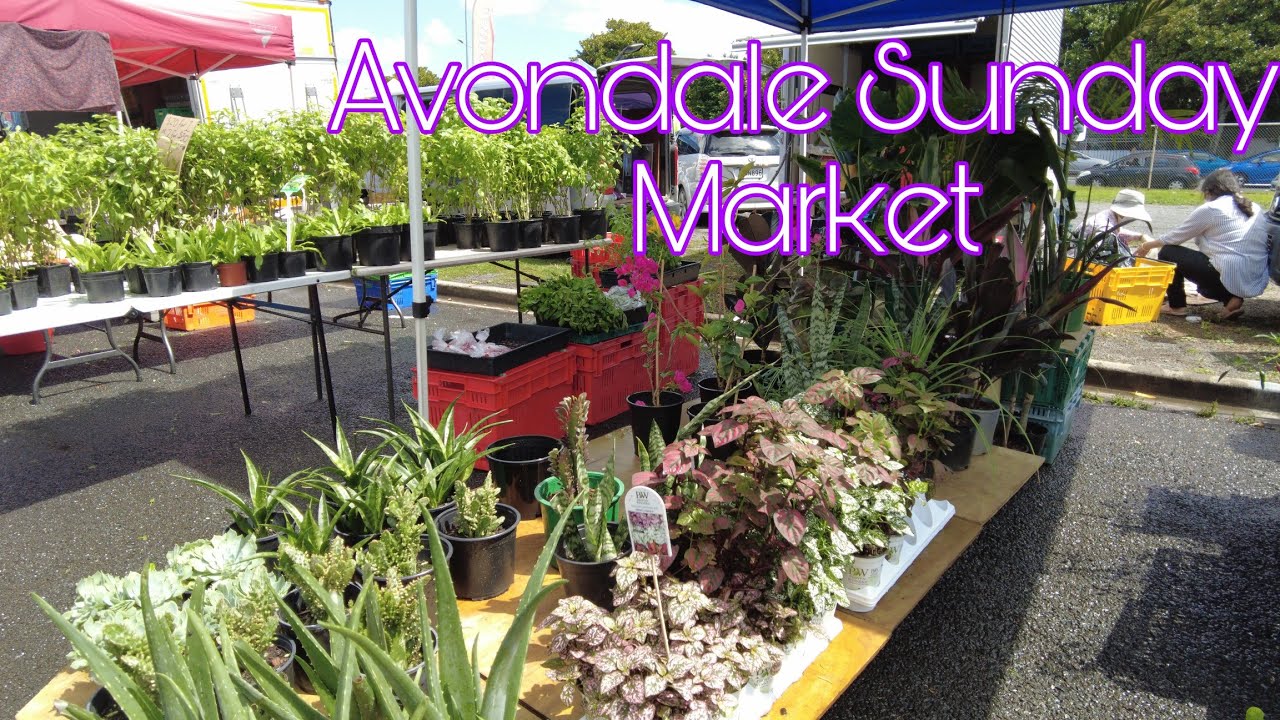 Avondale Sunday Market - YouTube
