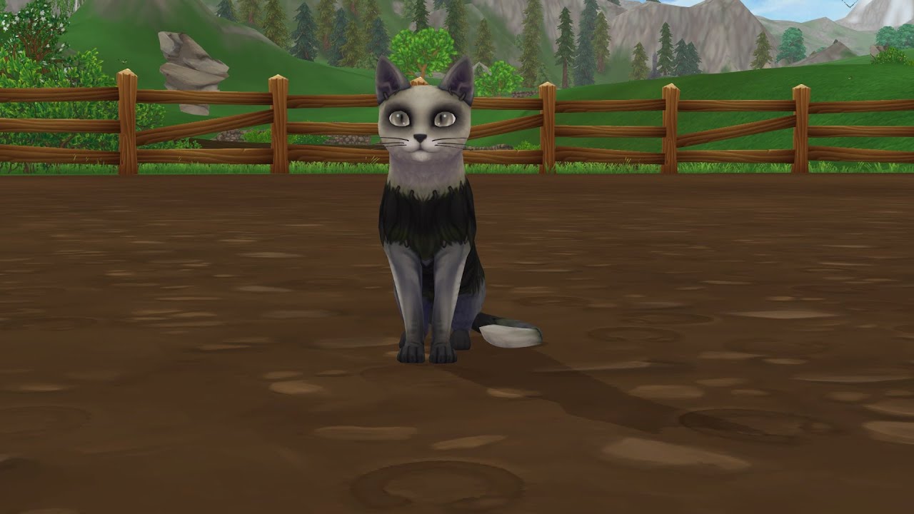 Star stable online - Stitches the cat - YouTube