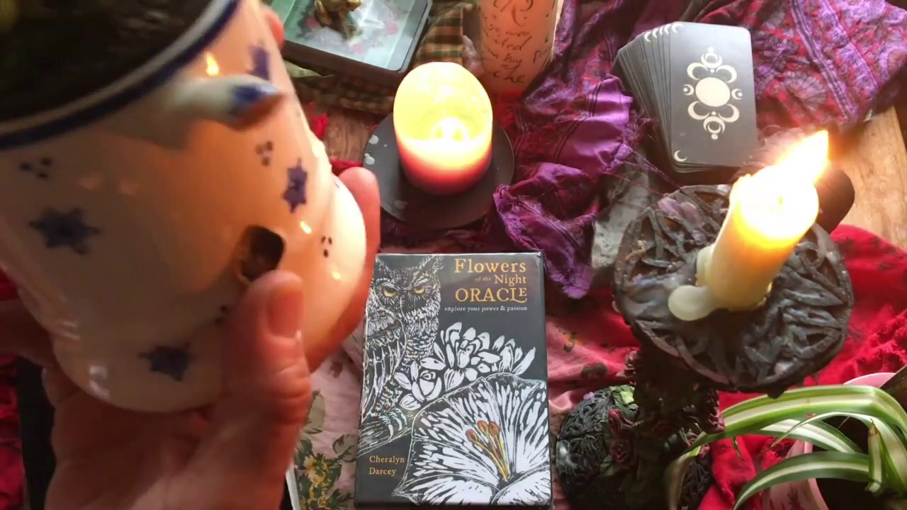 Flowers of the Night Oracle First Look - YouTube