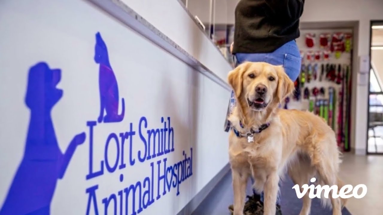 Come work at Lort Smith Campbellfield - YouTube