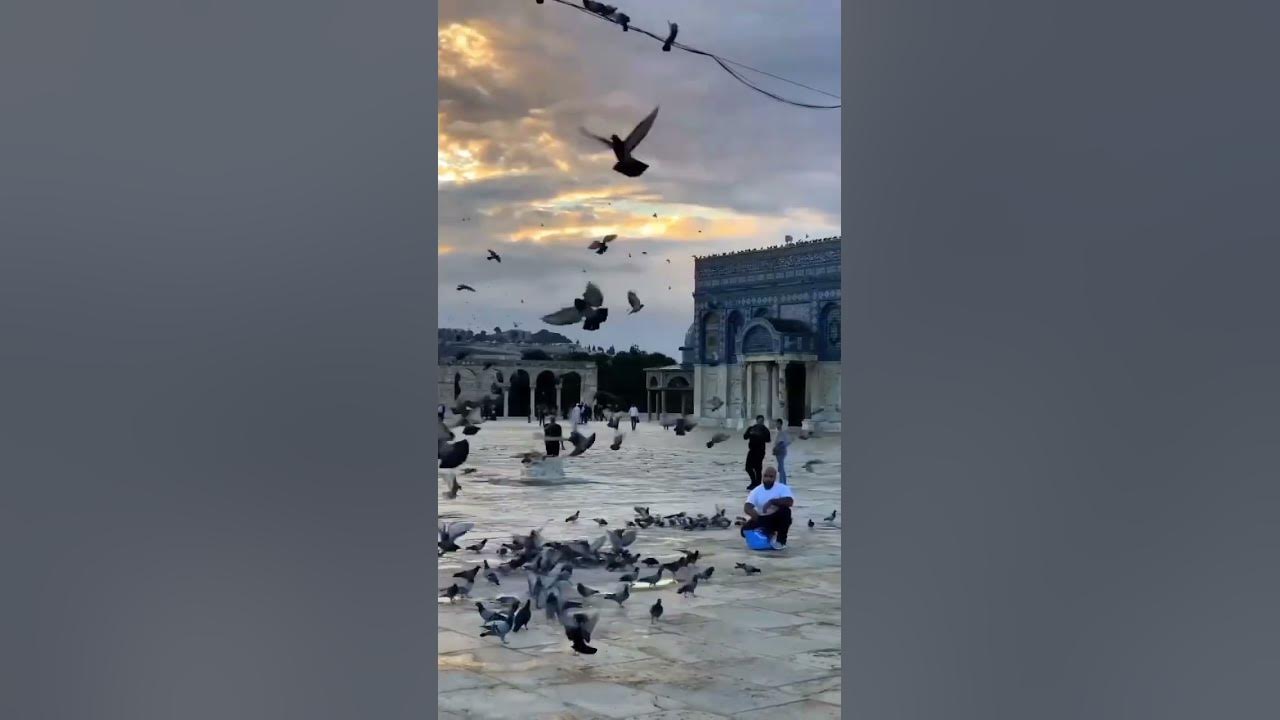 سُبْحَانَ الَّذِي أَسْرَى بِعَبْدِهِ لَيْلاً ️ سورة الإسراء الاسراء