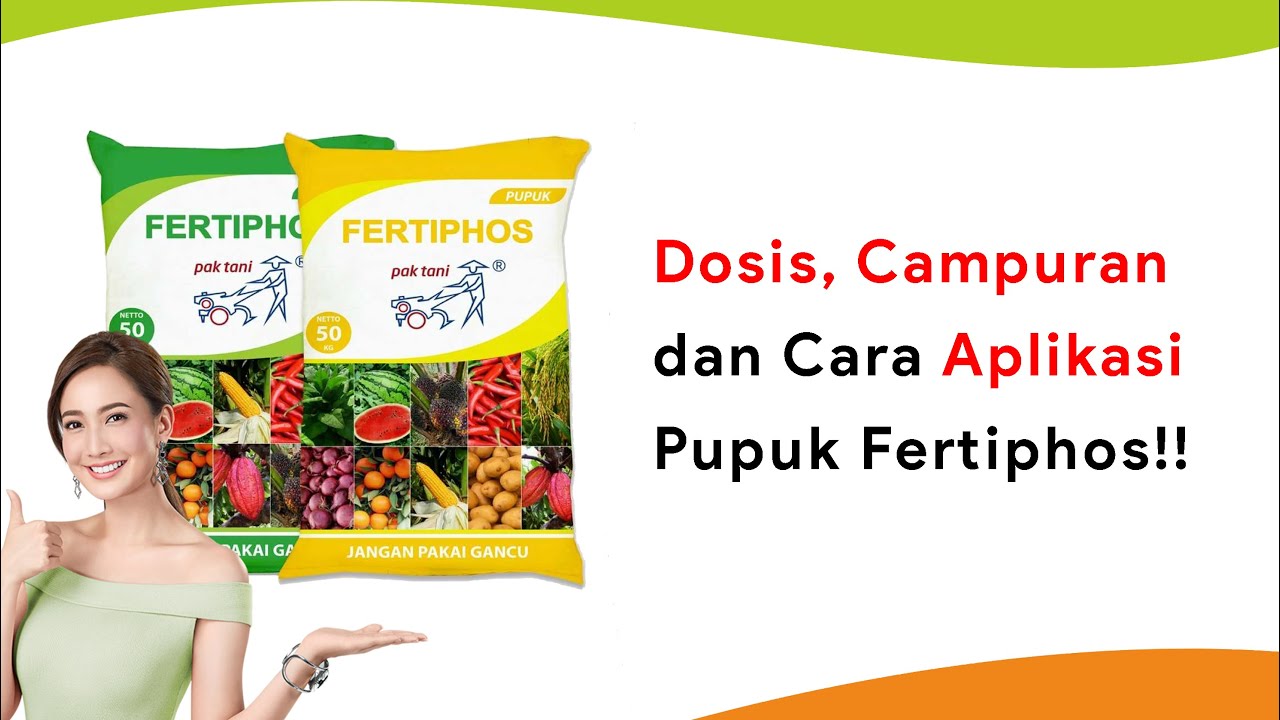 Fertiphos Pak Tani! Dosis, Waktu, Cara Aplikasi dan Campurannya - YouTube